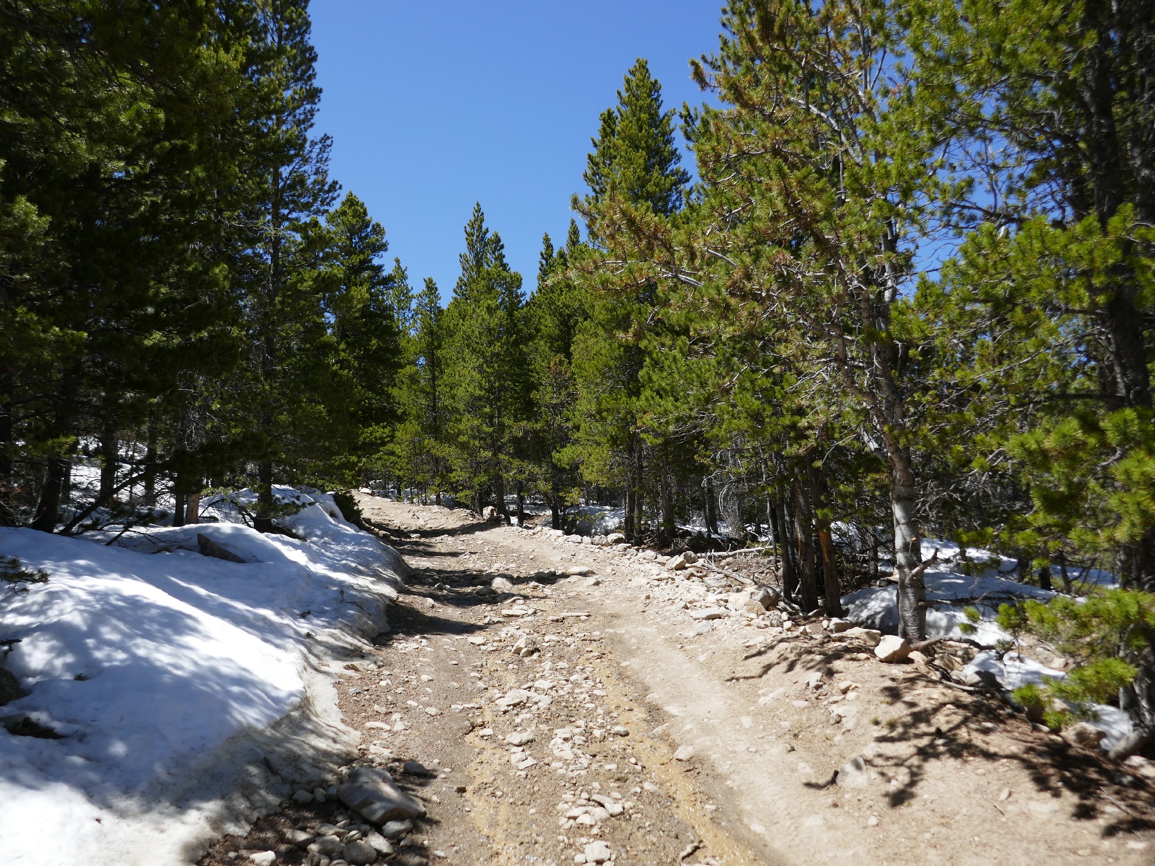 Yankee Hill 200509 – TrailDamage.com