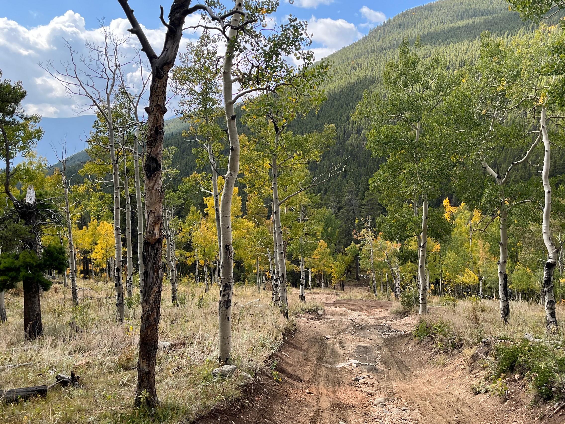 Slaughterhouse Gulch 211002 – TrailDamage.com
